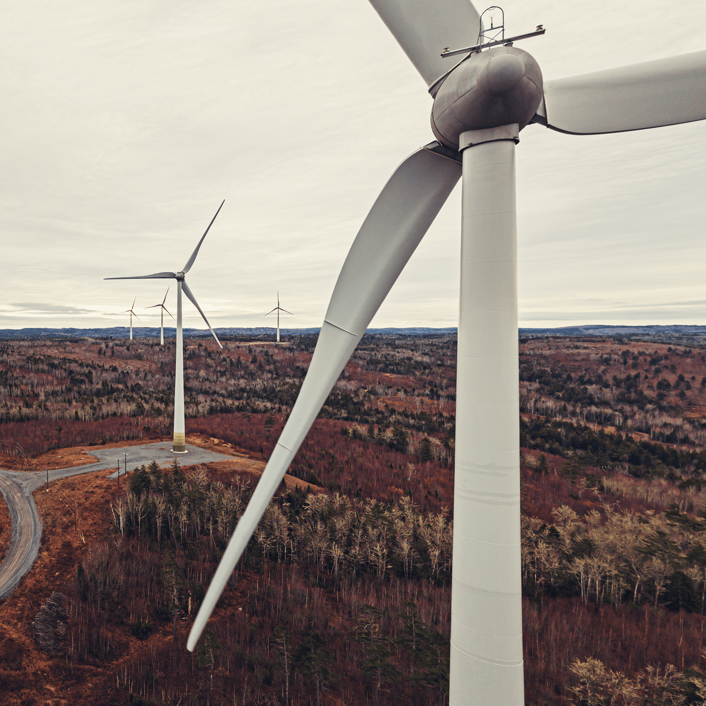 TRANSFORMATION OF SCOTLAND’S WATER SERVICES TO DELIVER NET ZERO ...