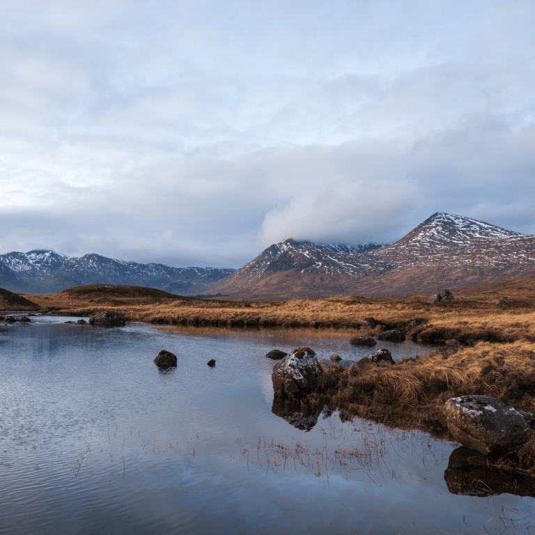 Highland Water Treatment Works Goes Green Thanks to Solar Scheme - Net Zero